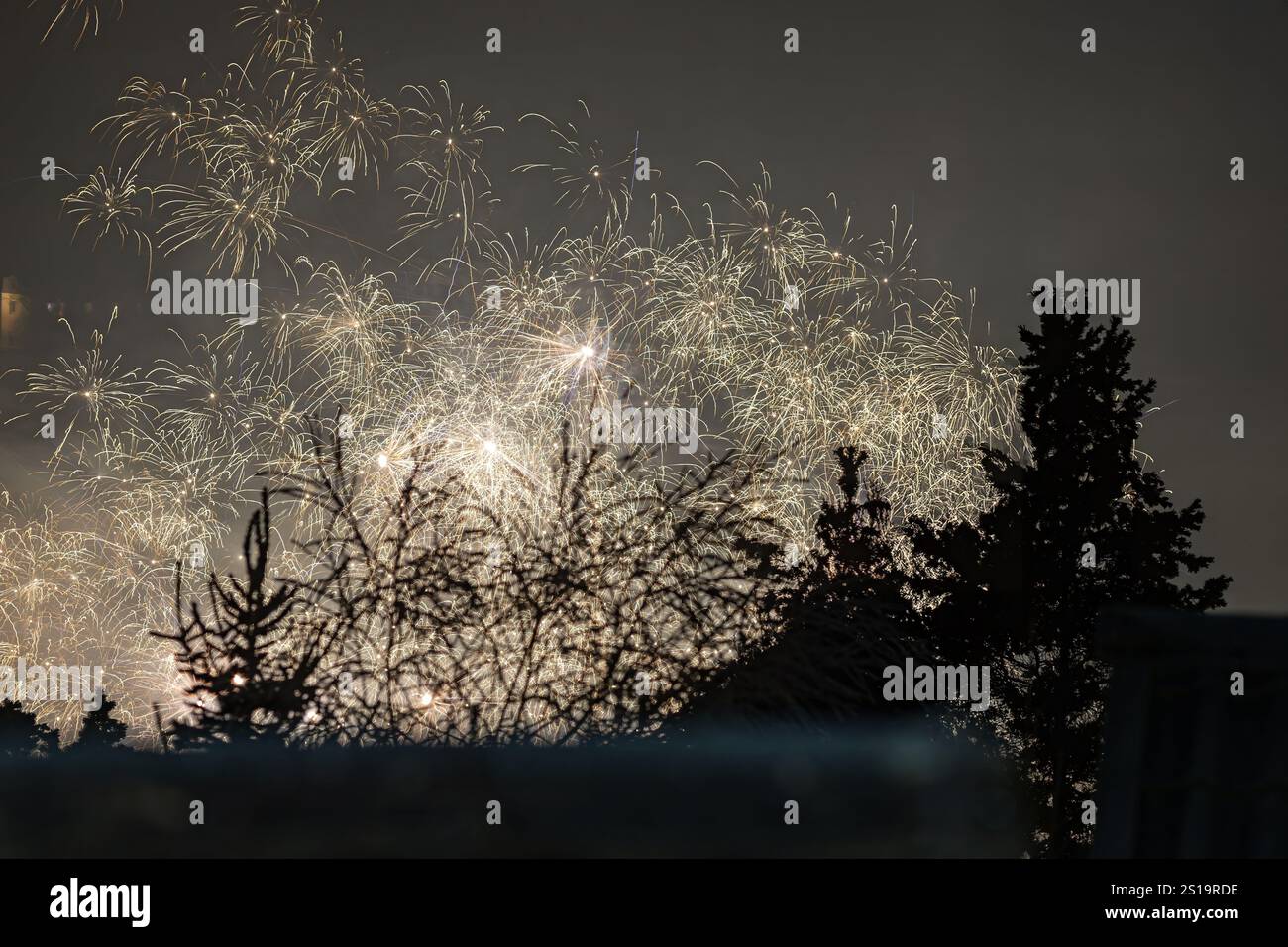 exploding fireworks behind trees Stock Photo - Alamy