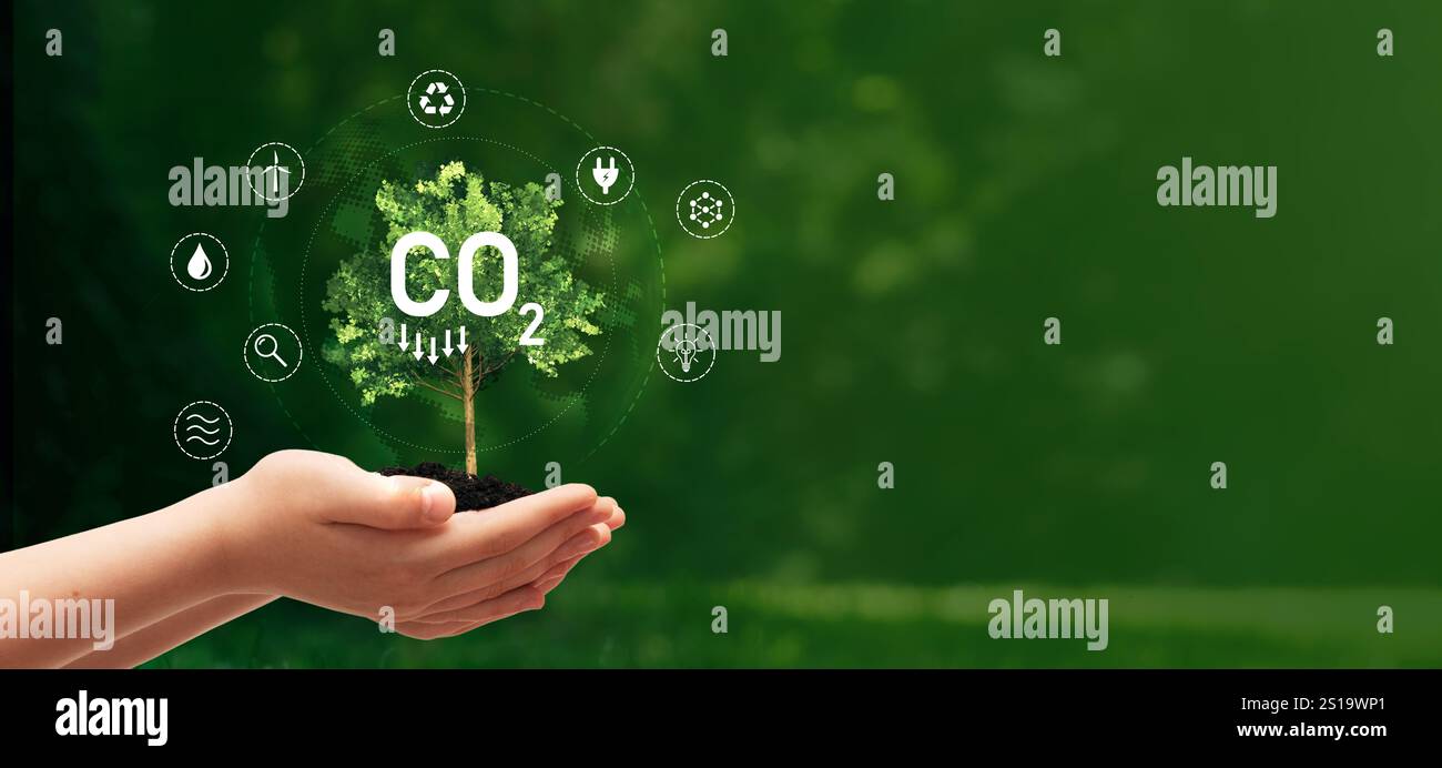 Environmental protection, renewable, sustainable energy sources. Carbon ...