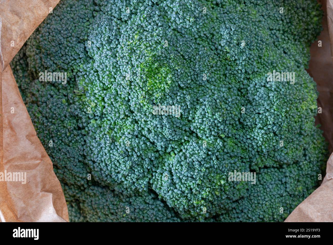 broccoli in a brown paper bag. Environmentally friendly recycle ...