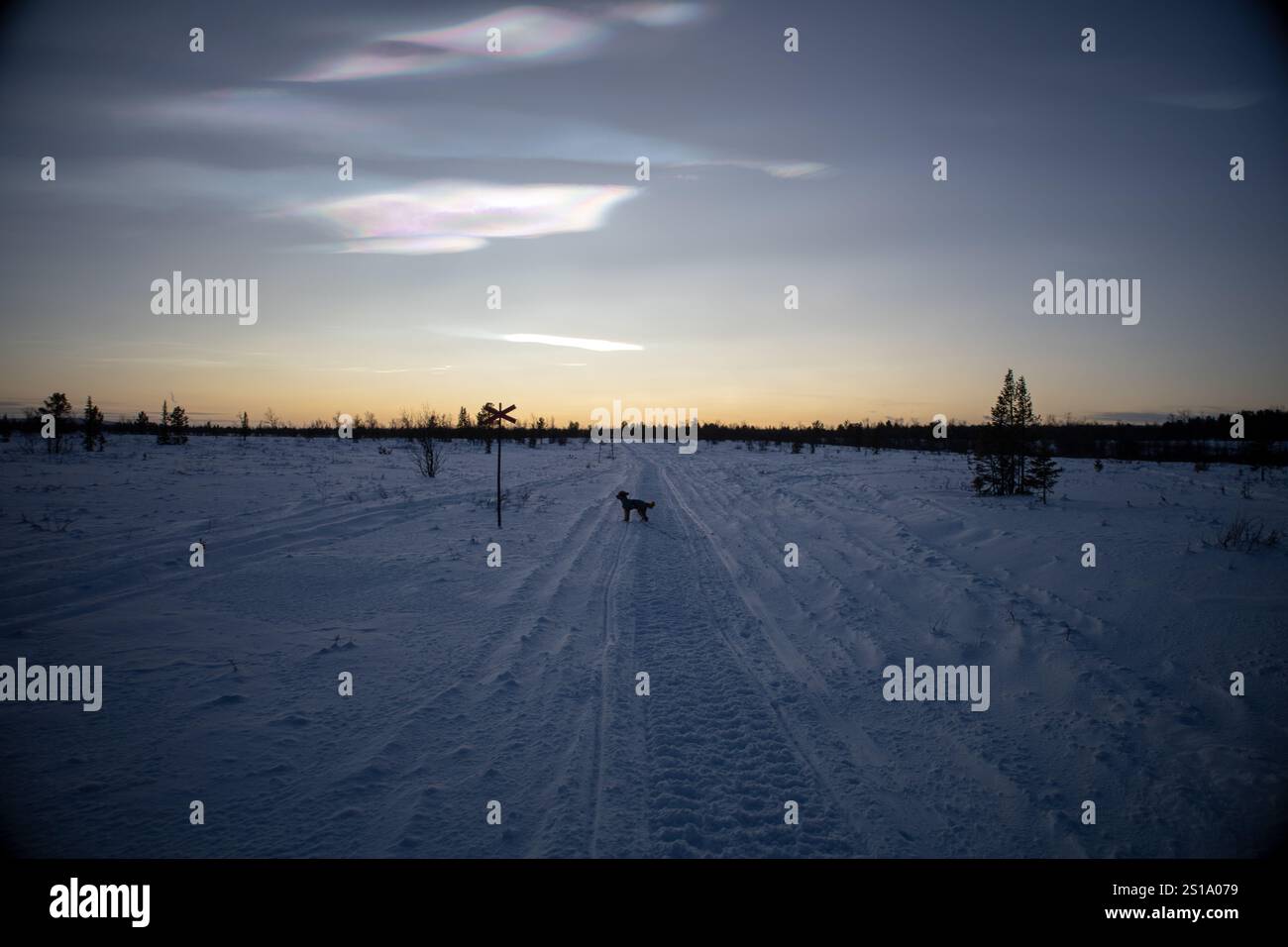Polar stratospheric cloud, also known as nacreous clouds from nacre, or ...
