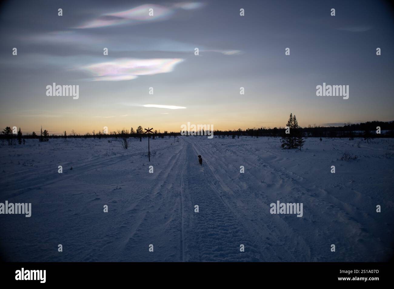 Polar stratospheric cloud, also known as nacreous clouds from nacre, or ...