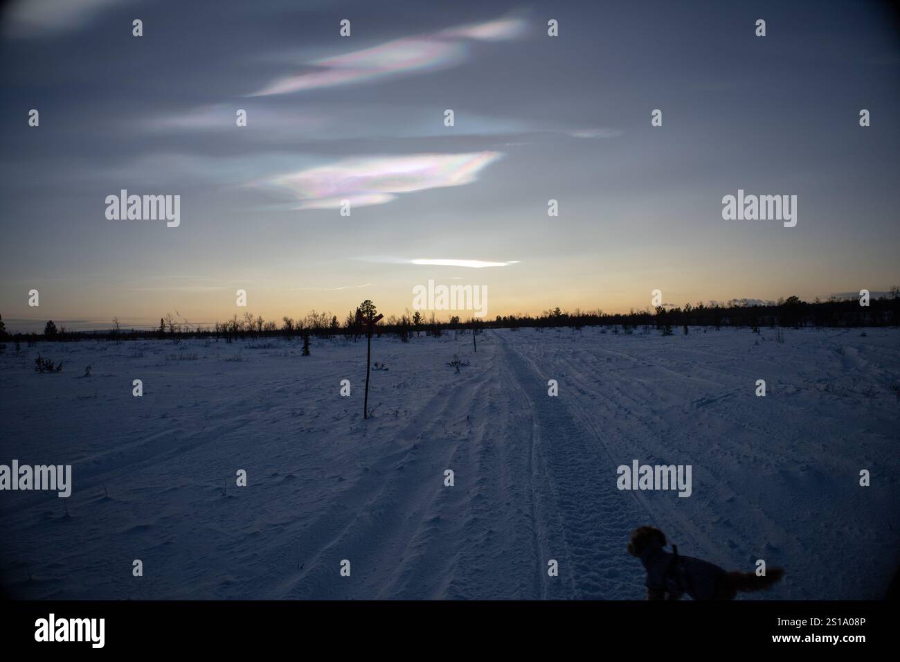 Polar stratospheric cloud, also known as nacreous clouds from nacre, or ...