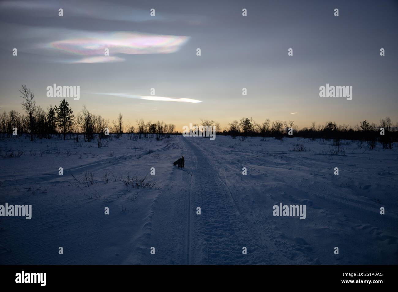Polar stratospheric cloud, also known as nacreous clouds from nacre, or ...