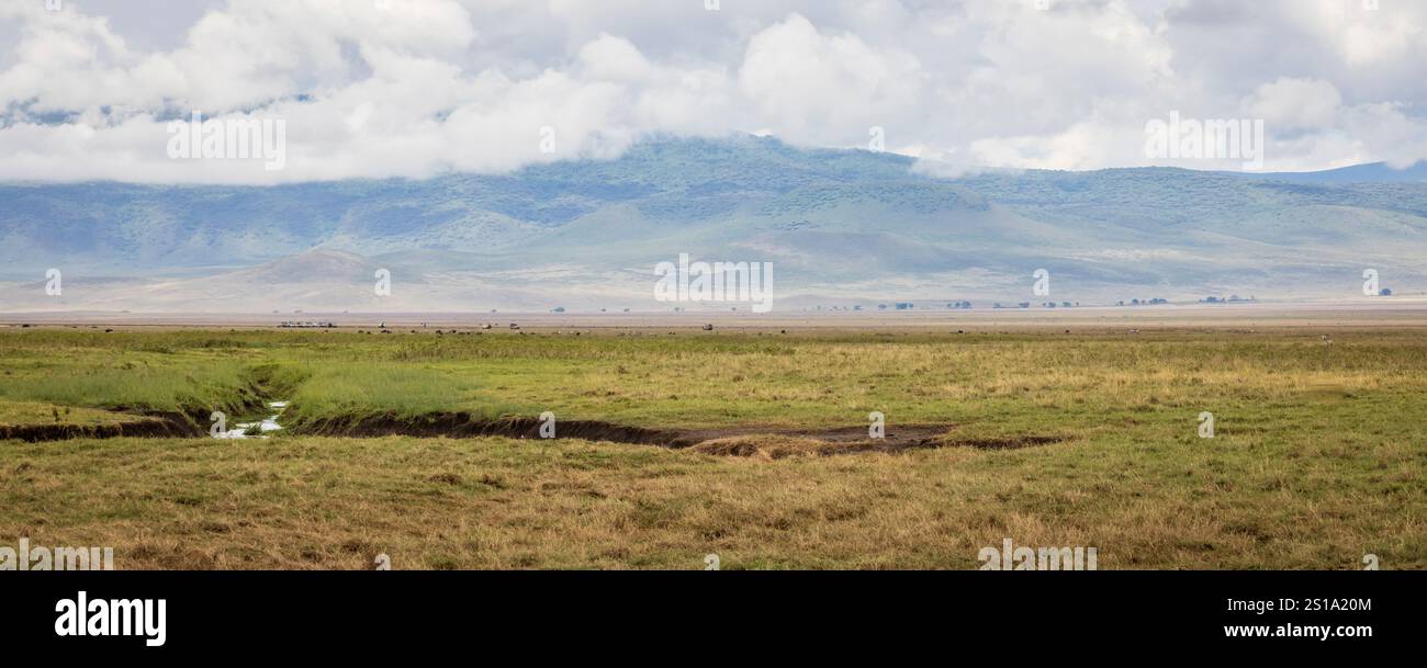 Panoramic view of Ngorongoro Conservation Area during rainy season in ...