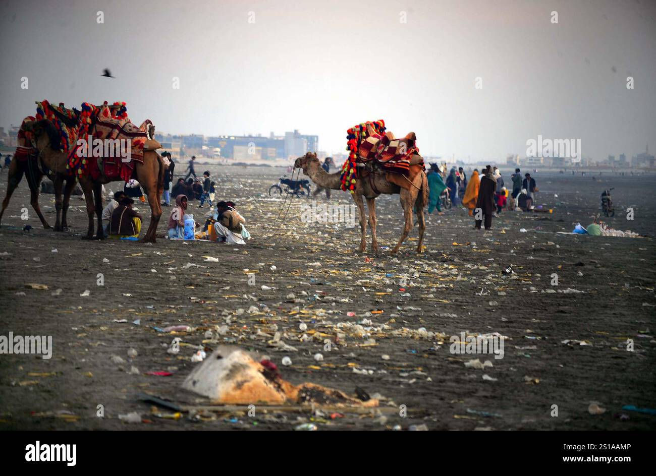 View of garbage lay along with Sea View Beach creating problems for ...
