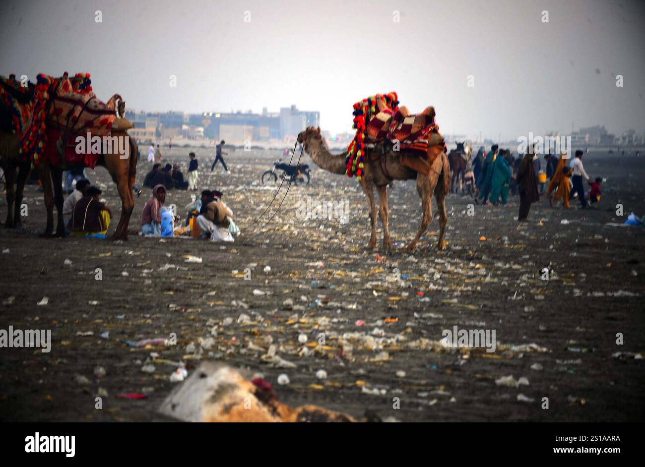View of garbage lay along with Sea View Beach creating problems for ...