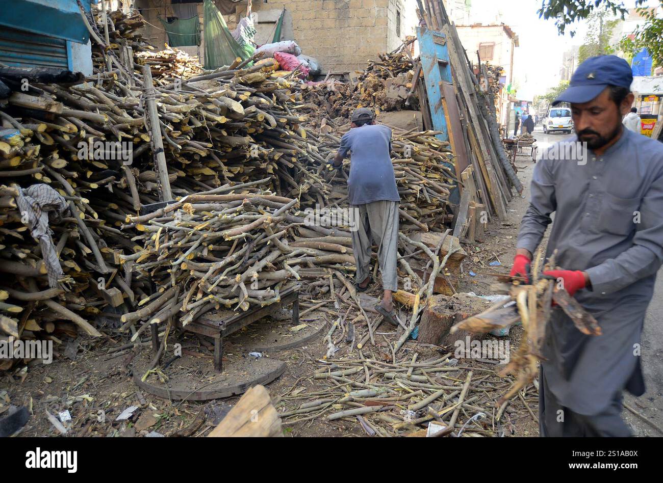 Labour busy in arrange woods for selling to earn his livelihood for ...