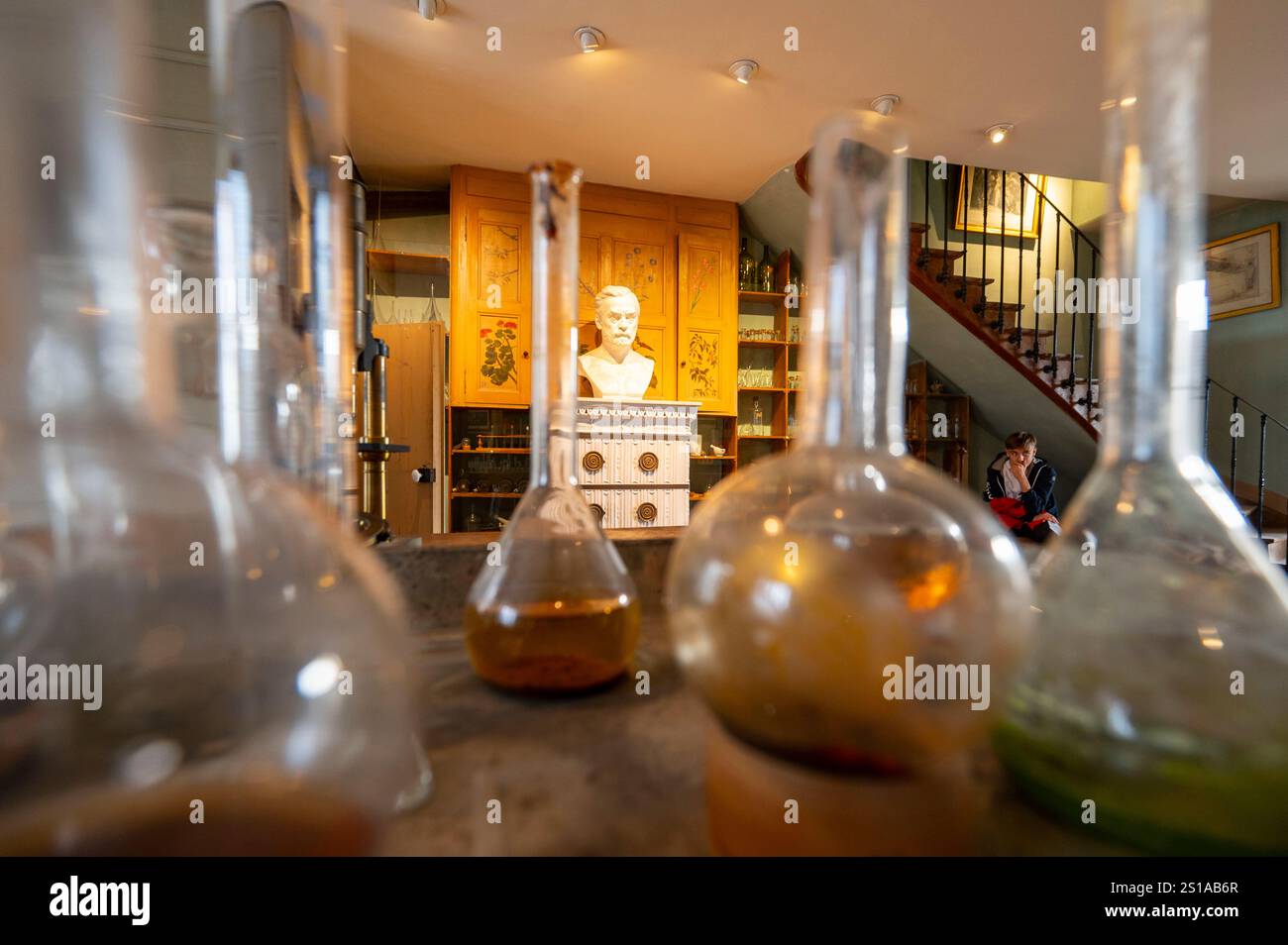 France, Jura, Arbois, Visit to Pasteur's house, his bust in the middle, the original bottles ...