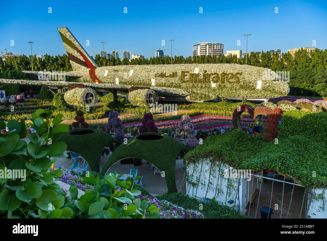 Flower covered emirates airbus hi-res stock photography and images - Alamy
