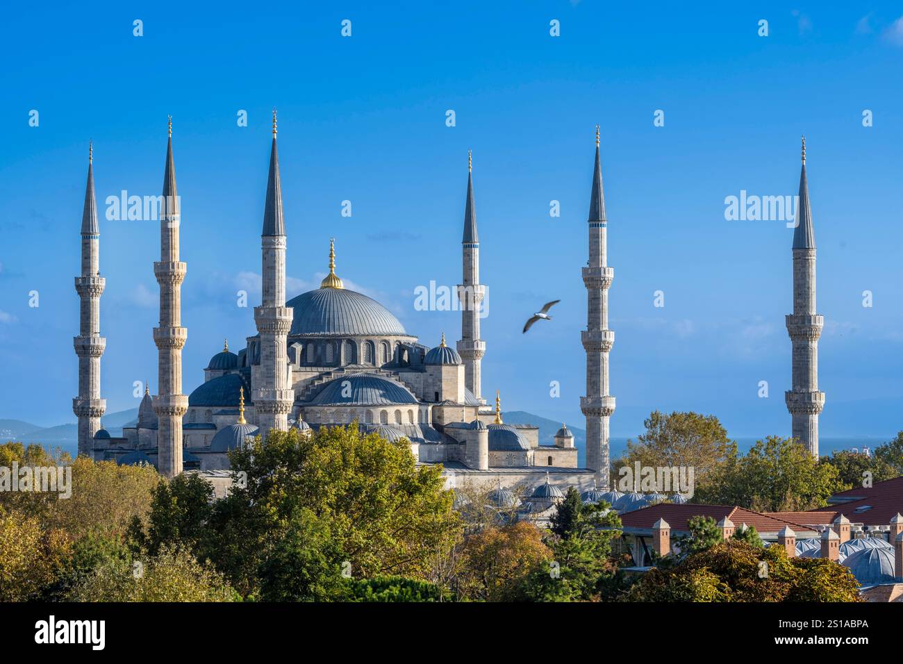 Turkey, Istanbul, historic center classified as World Heritage by UNESCO, Sultanahmet district ...