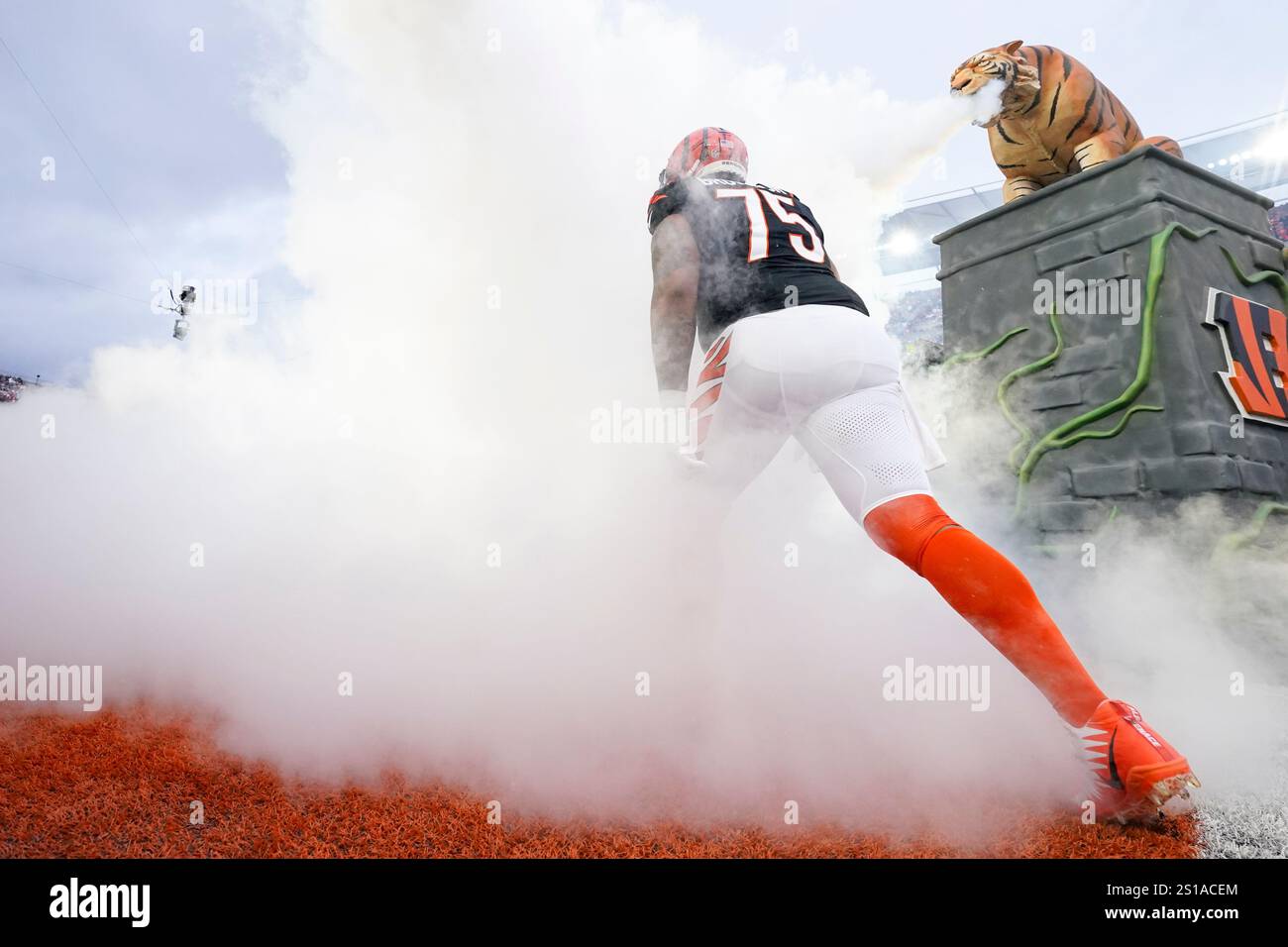 Cincinnati Bengals offensive tackle Orlando Brown Jr. (75) is announced ...