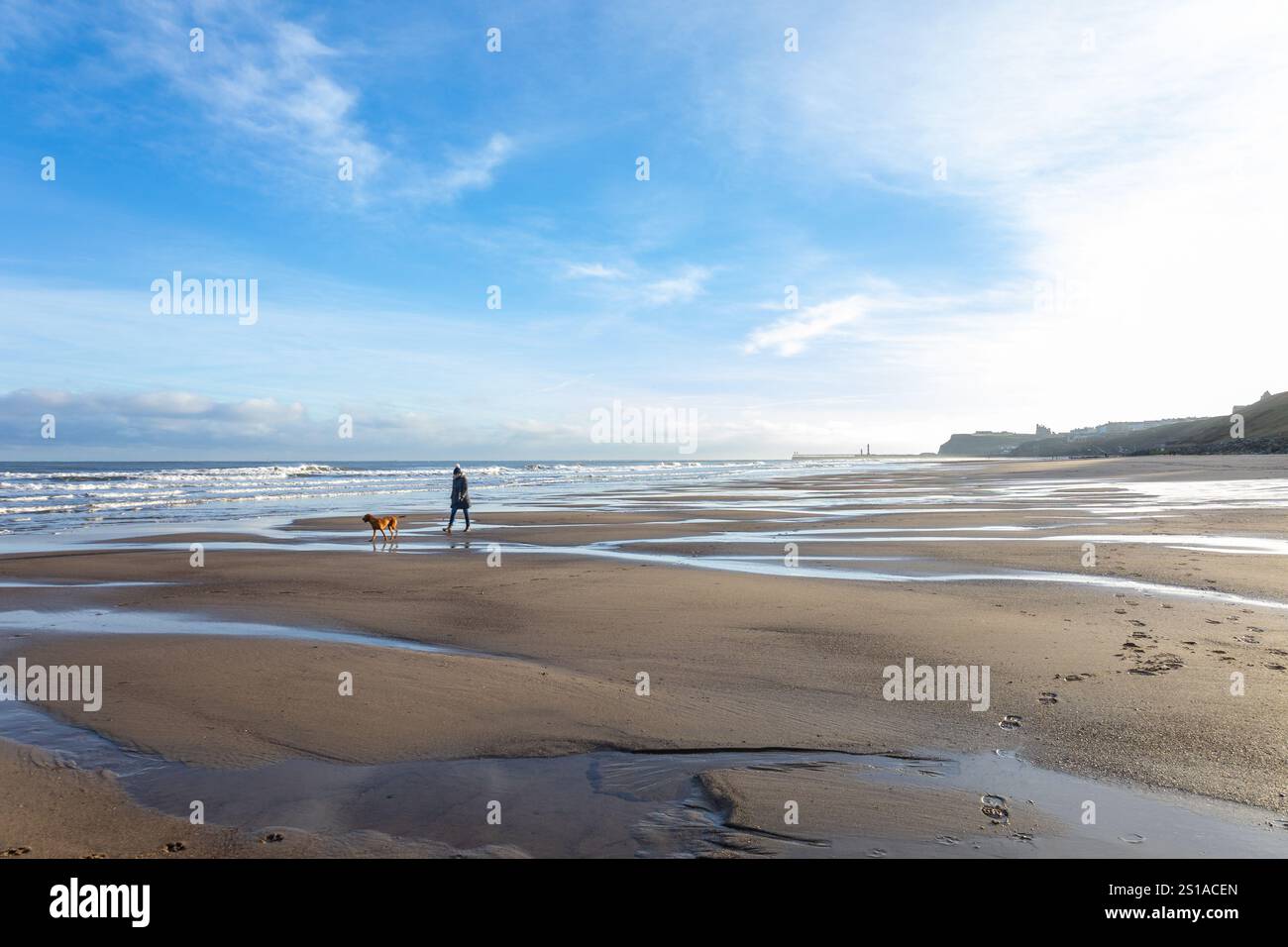 Early morning dog walker on Whitby Sands.A popular seaside town on the ...