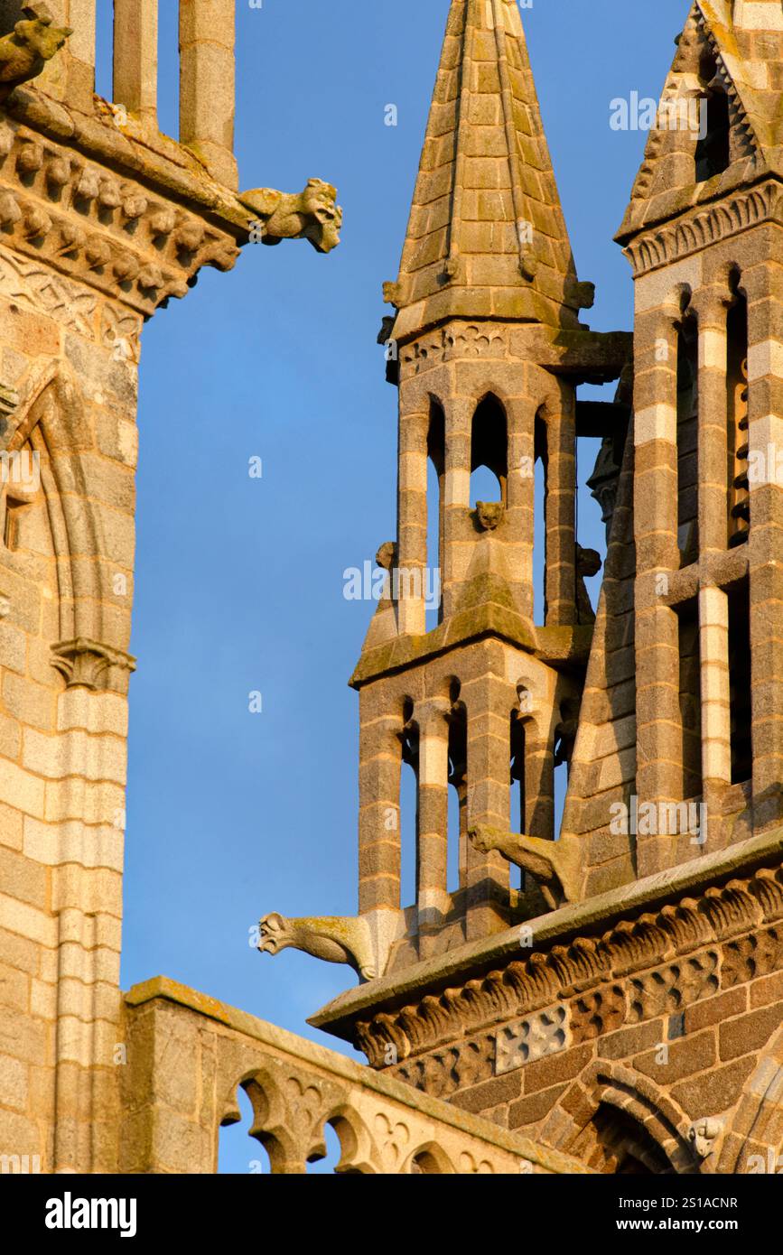 France, Finistere, Saint Pol de Leon, the Saint Paul Aurelien Cathedral ...