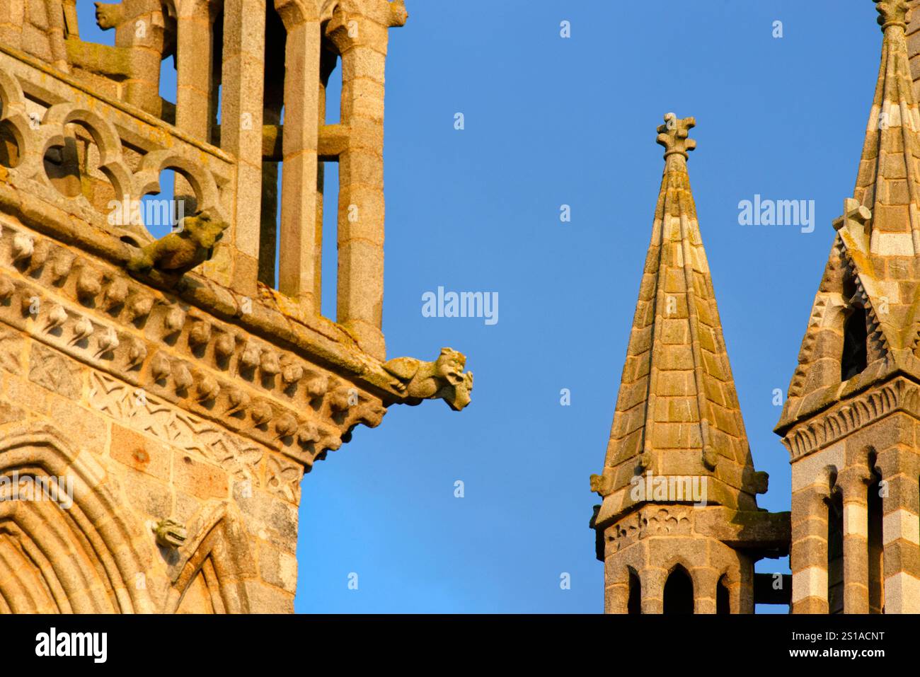 France, Finistere, Saint Pol de Leon, the Saint Paul Aurelien Cathedral ...