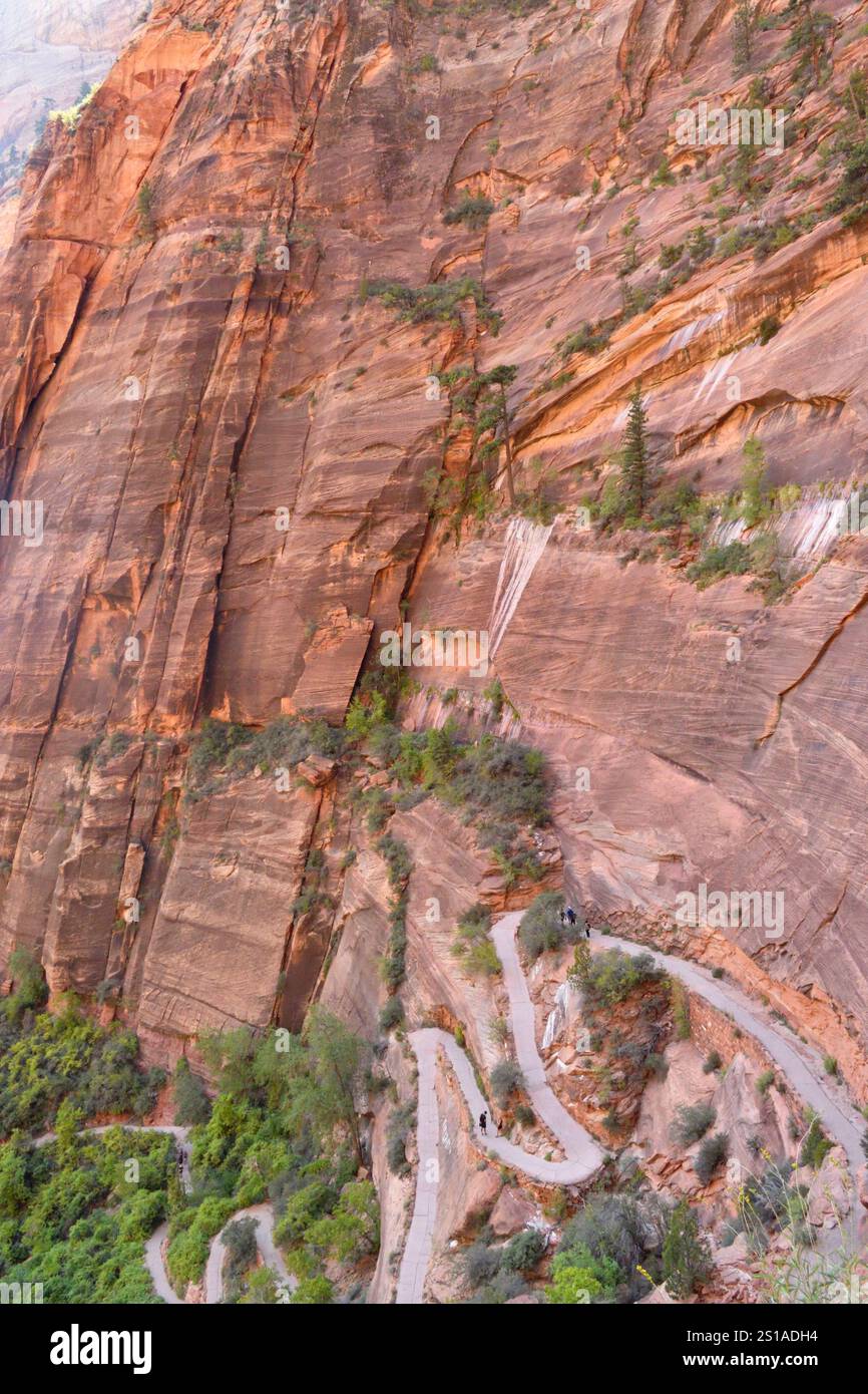 United States, Utah, view of Zion Canyon from Angel's Landing trail ...