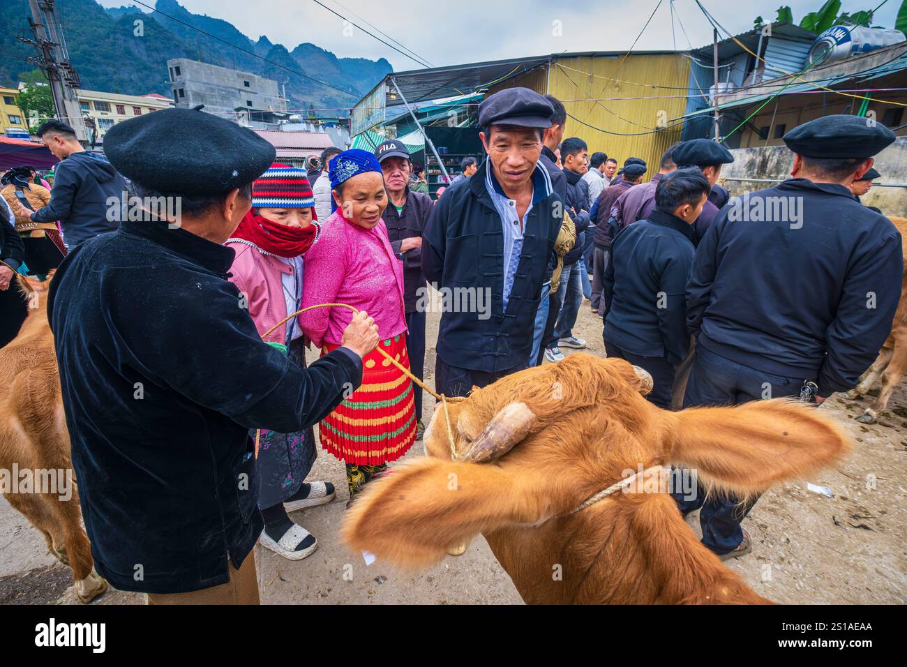 Vietnam, Ha Giang Province, Dong Van Karst Plateau Geopark, Dong Van ...
