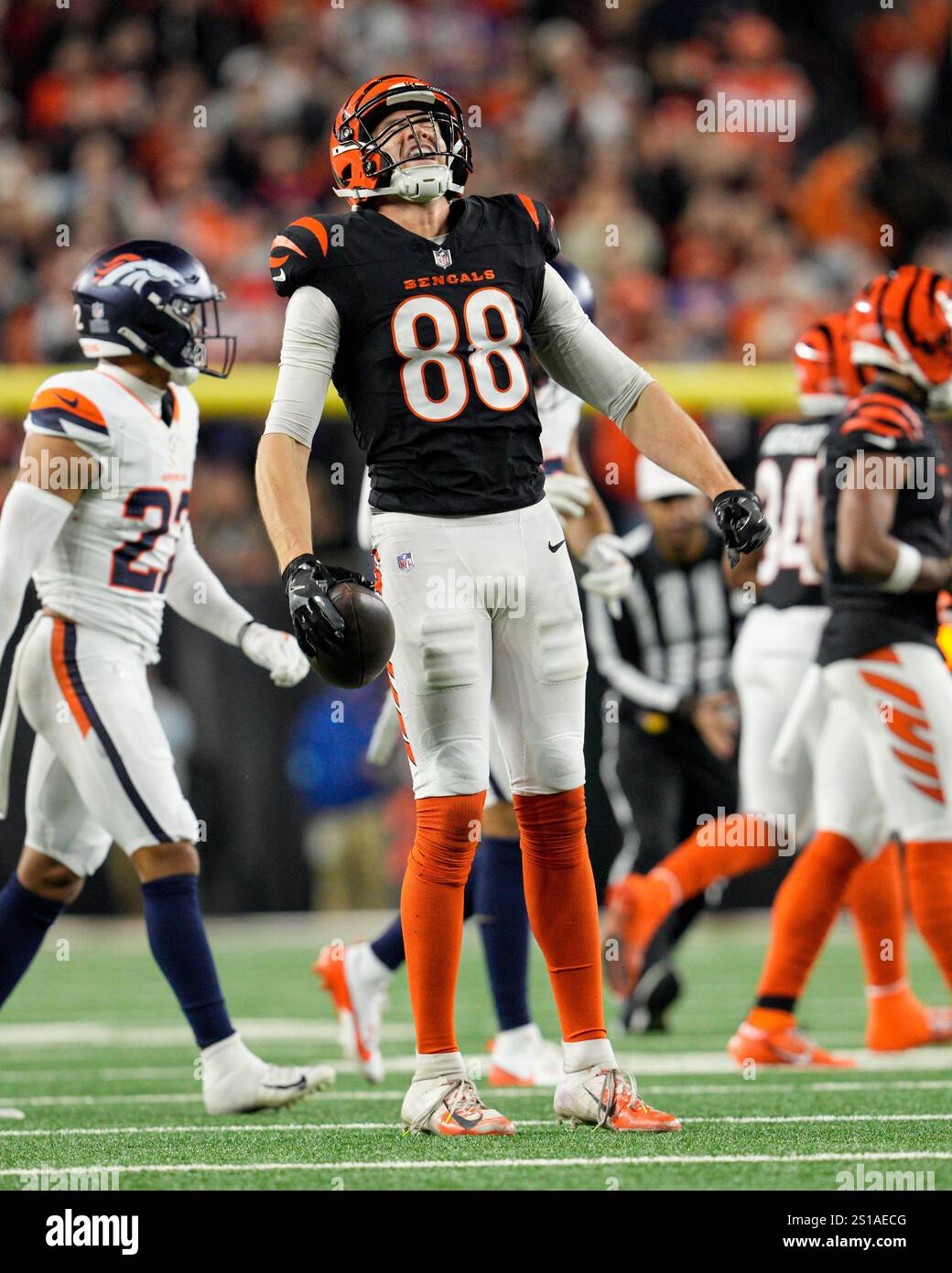 Cincinnati Bengals tight end Mike Gesicki (88) reacts during an NFL ...