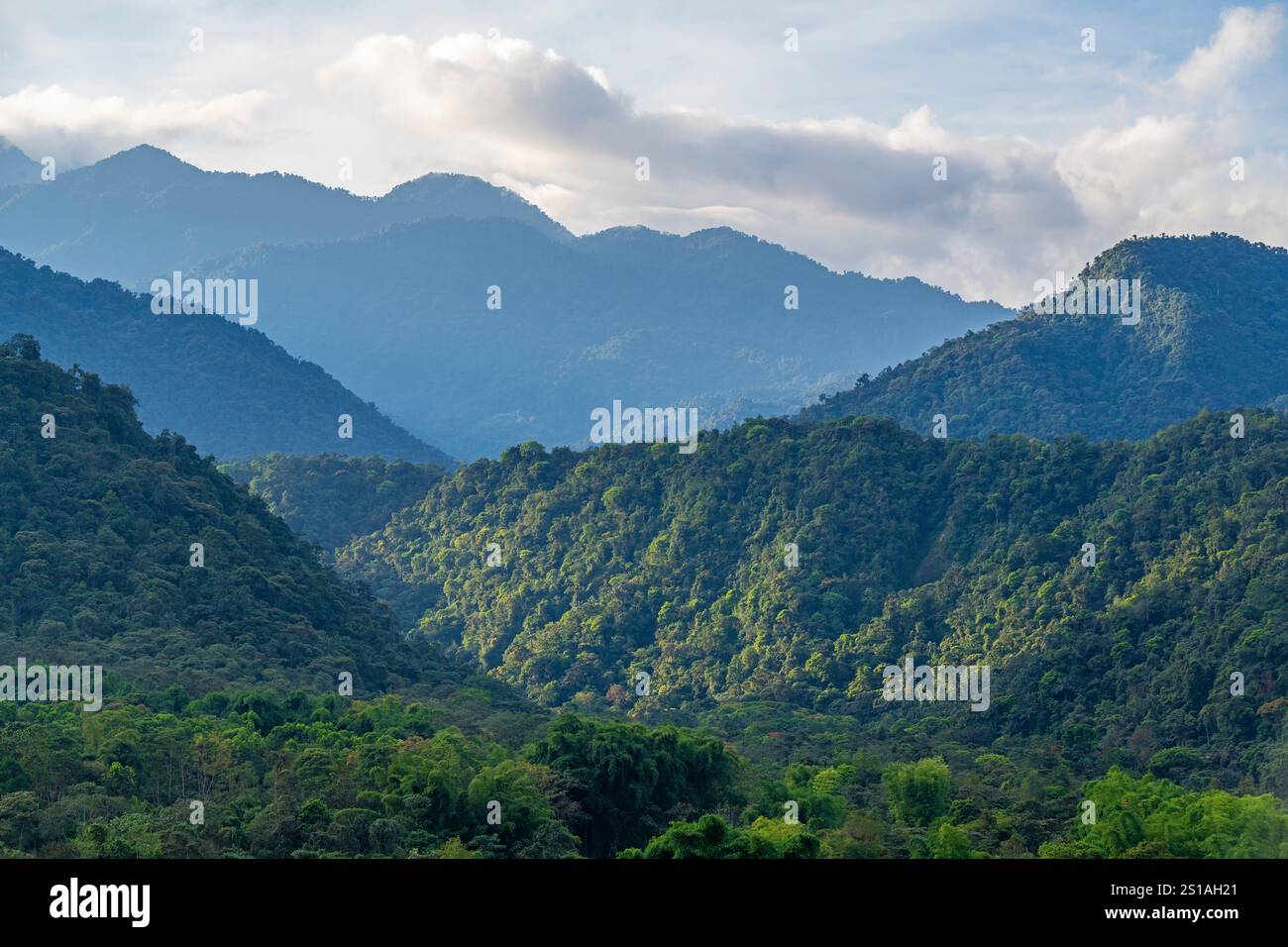 Mindo cloud forest landscape, Quito, Ecuador Stock Photo - Alamy