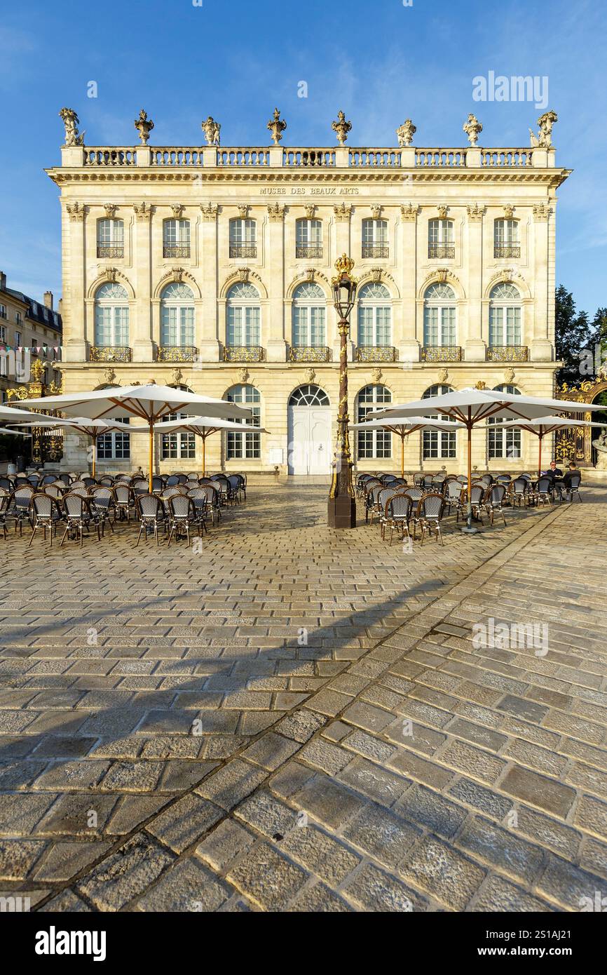 France, Meurthe et Moselle, Nancy, the facade of the museum of Fine ...