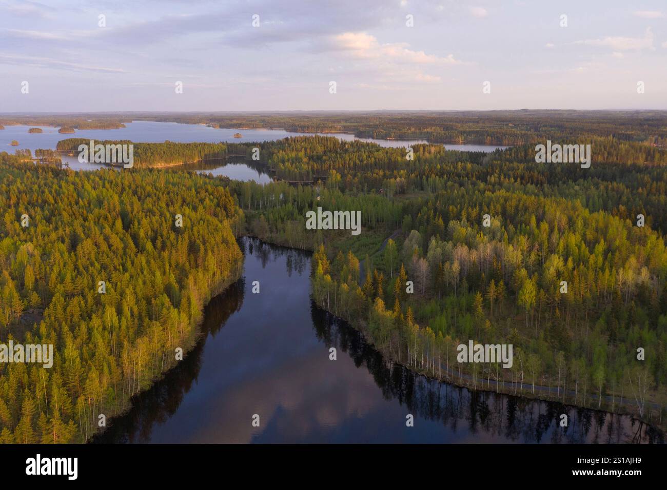 Finland, Lake district, lac Saimaa, Rantasalmi, the shores of lake ...