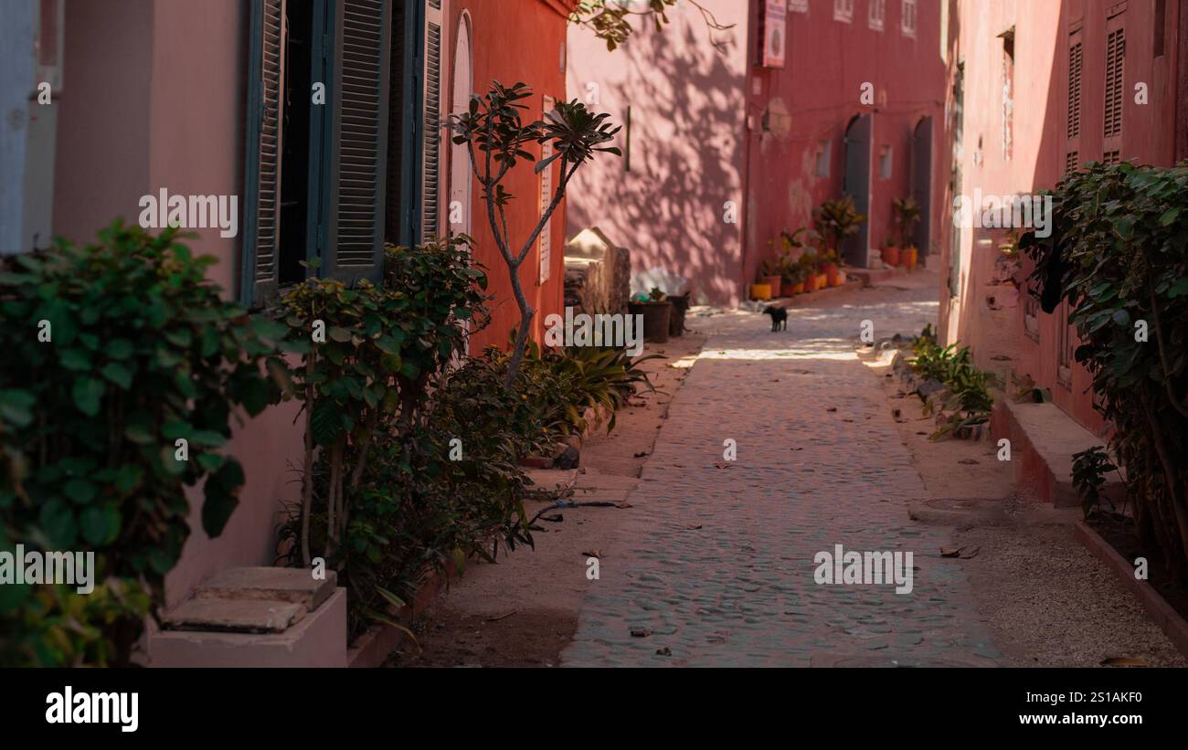 Alley in red color on the famous island of Goree, close to Dakar, known ...