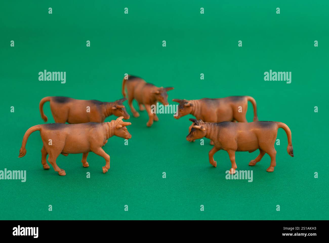 Five brown bulls on green background Stock Photo - Alamy