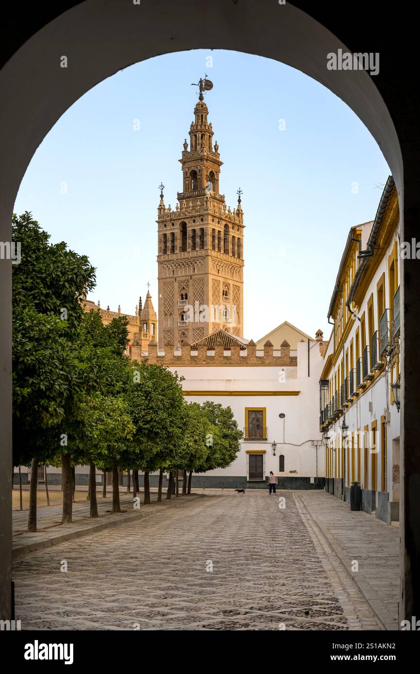 Spain, Andalusia, Seville, Santa Cruz district, the Giralda, former ...