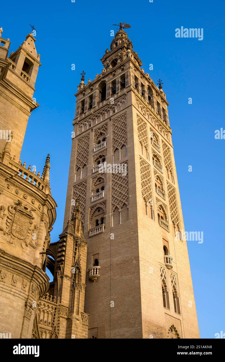 Spain, Andalusia, Seville, Santa Cruz district, the Giralda, former ...