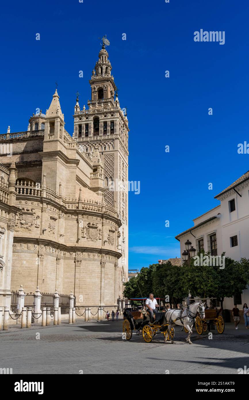 Spain, Andalusia, Seville, Santa Cruz district, the Giralda, former ...