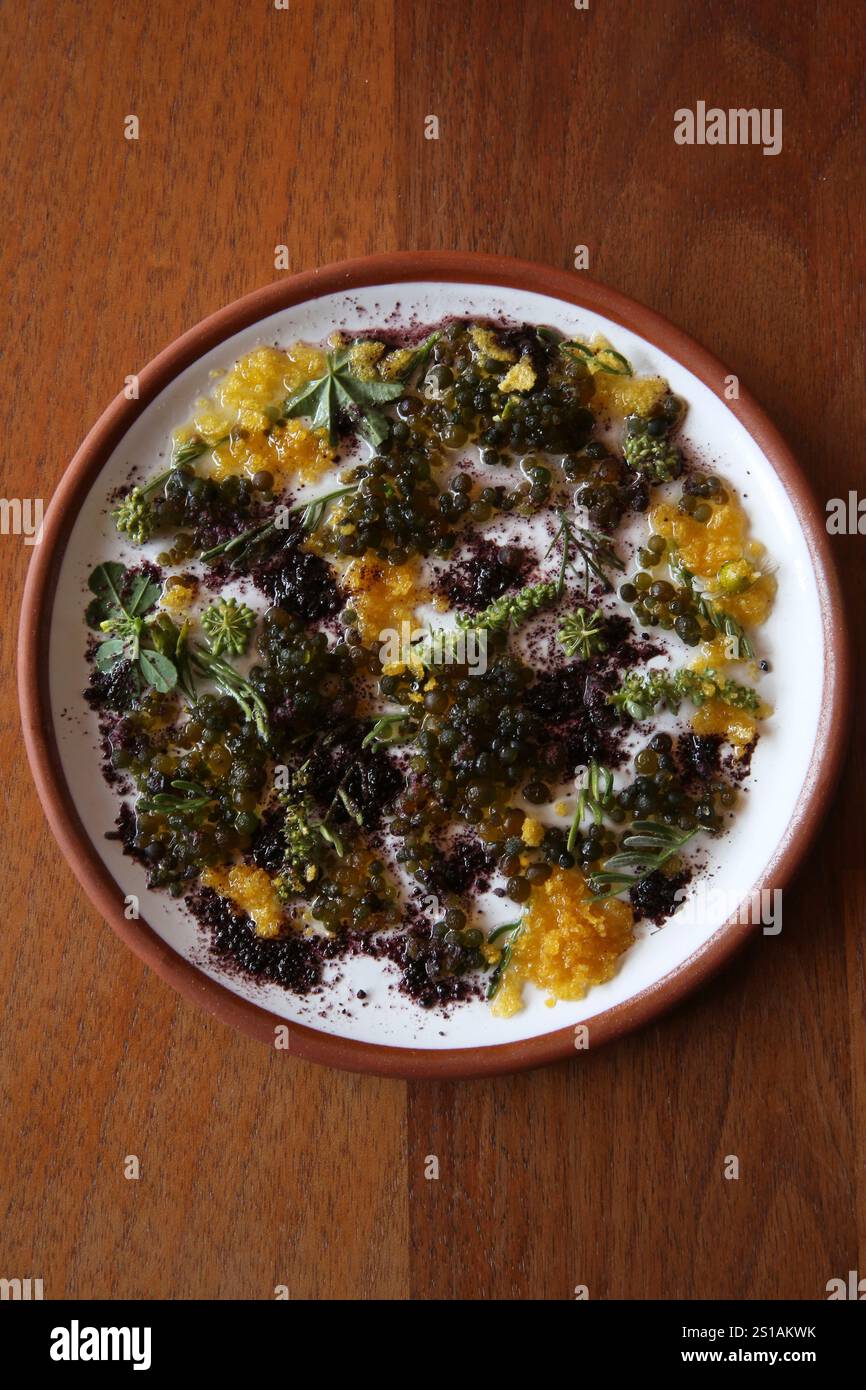 Peru, Andes, Moray, dish made with andean seaweed by the peruvian chef ...