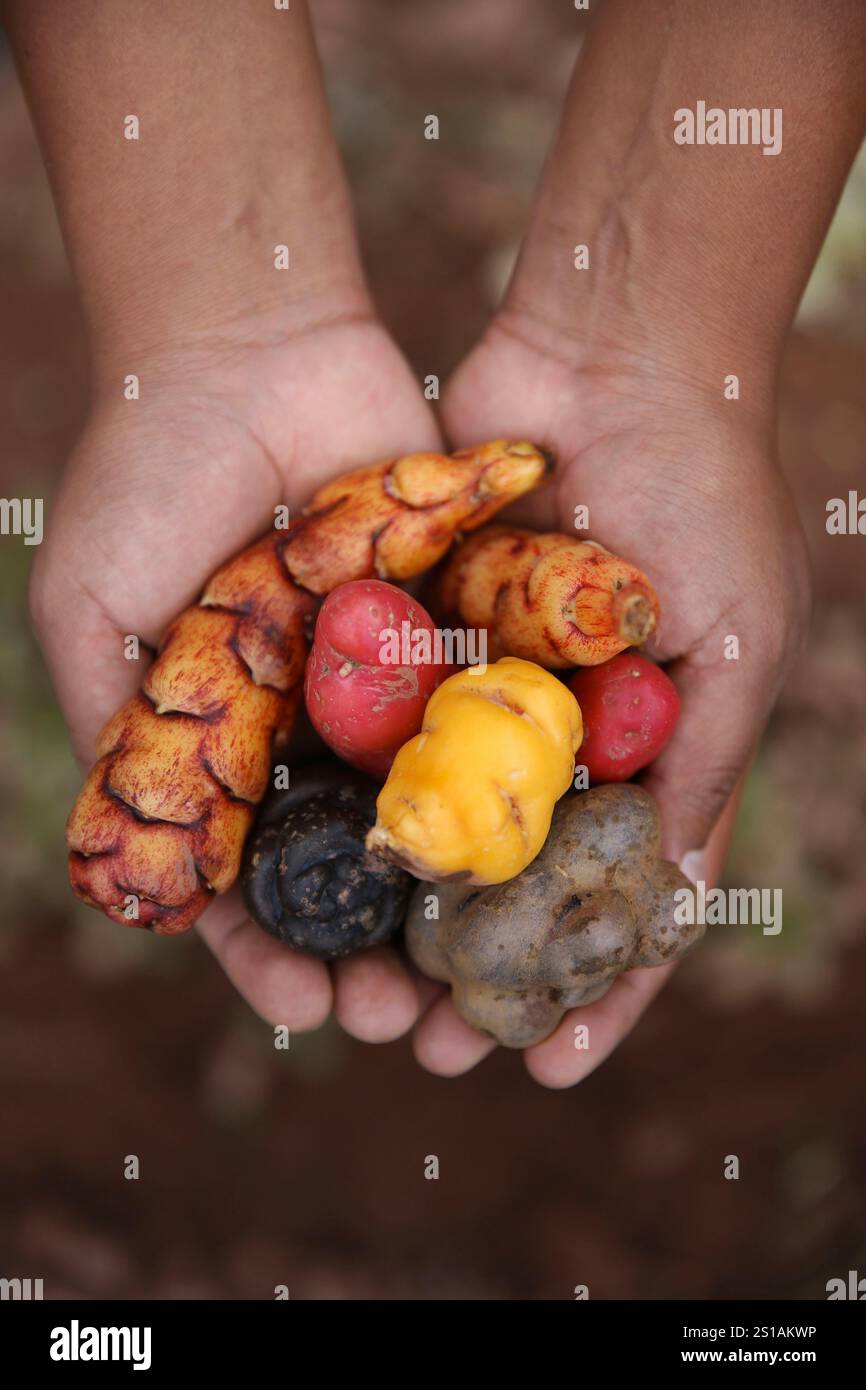 Peru, Andes, Sacred valley, an assortment of andean multicoloured ...