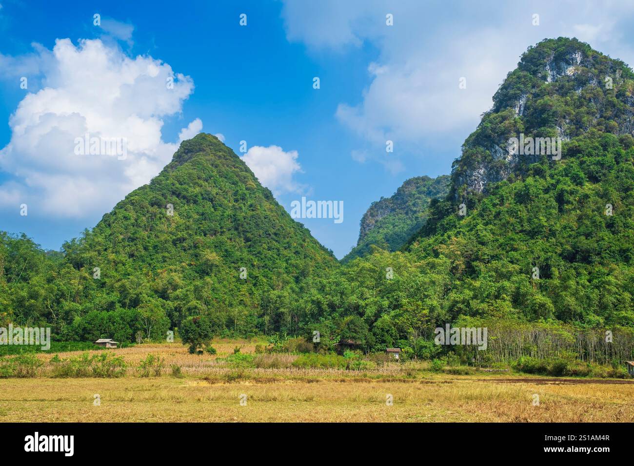 Vietnam, Lang Son province, Bac Son valley surrounded by a karst ...
