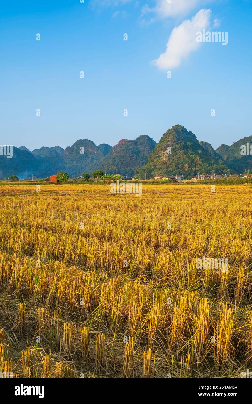 Vietnam, Lang Son province, Bac Son valley surrounded by a karst ...