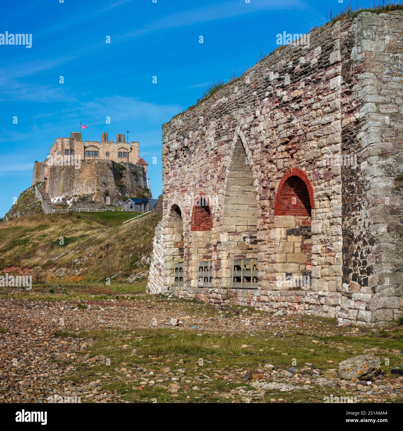 A daytime view in Summer of Lindisfarne Castle and Castle Point Lime ...
