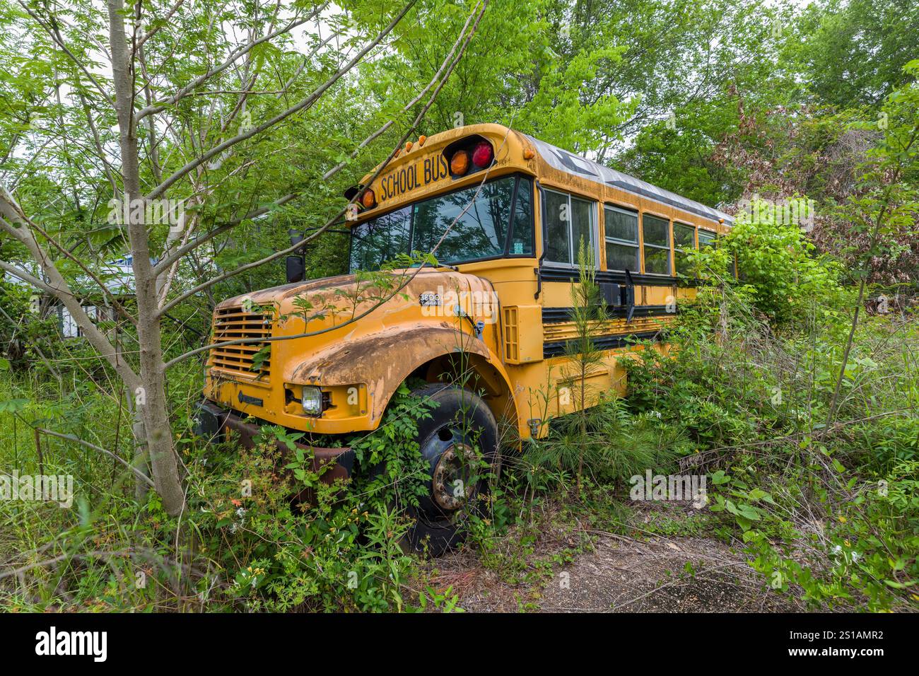 Mississippi school bus hi-res stock photography and images - Alamy