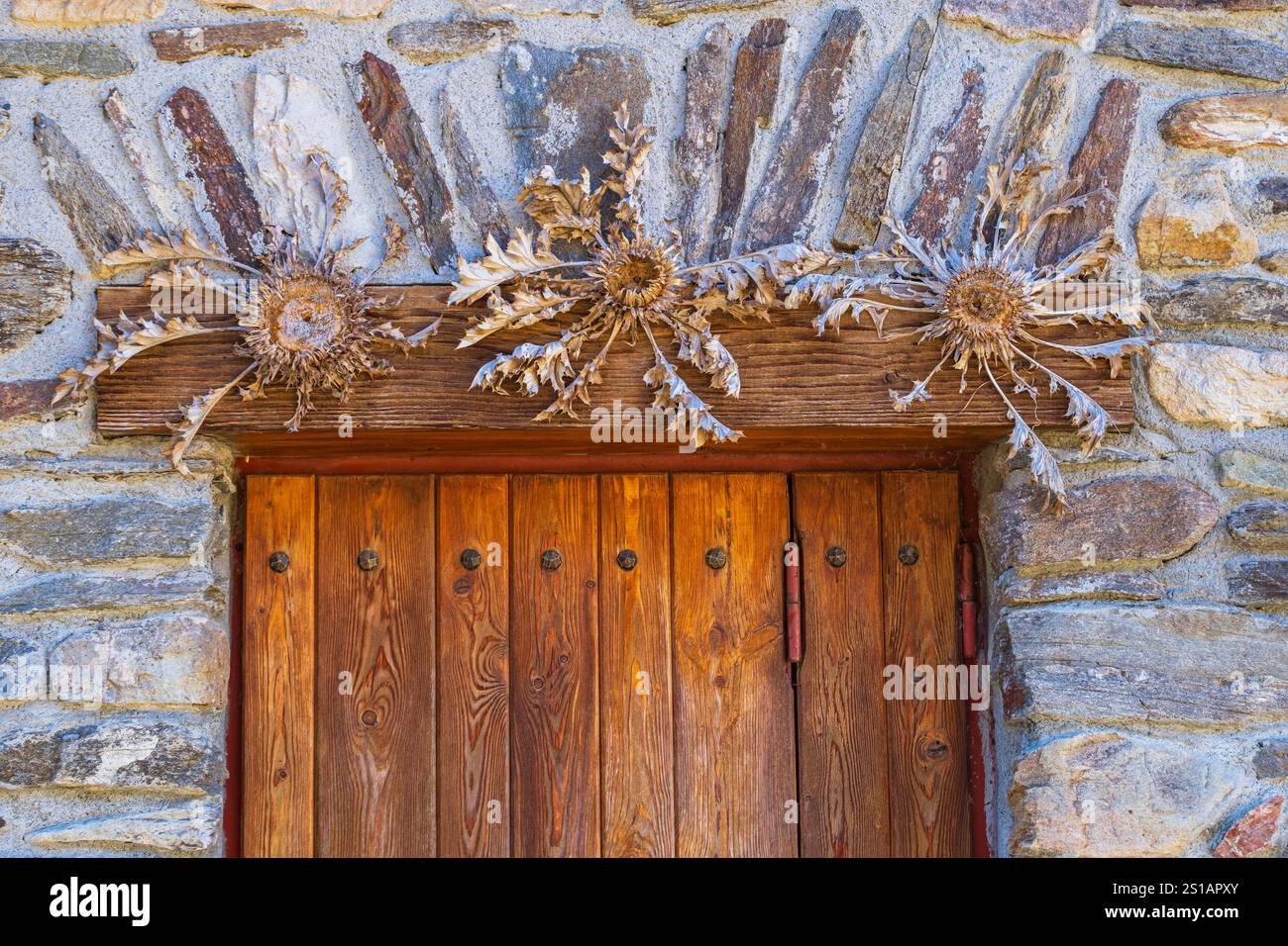 Carlines hi-res stock photography and images - Alamy