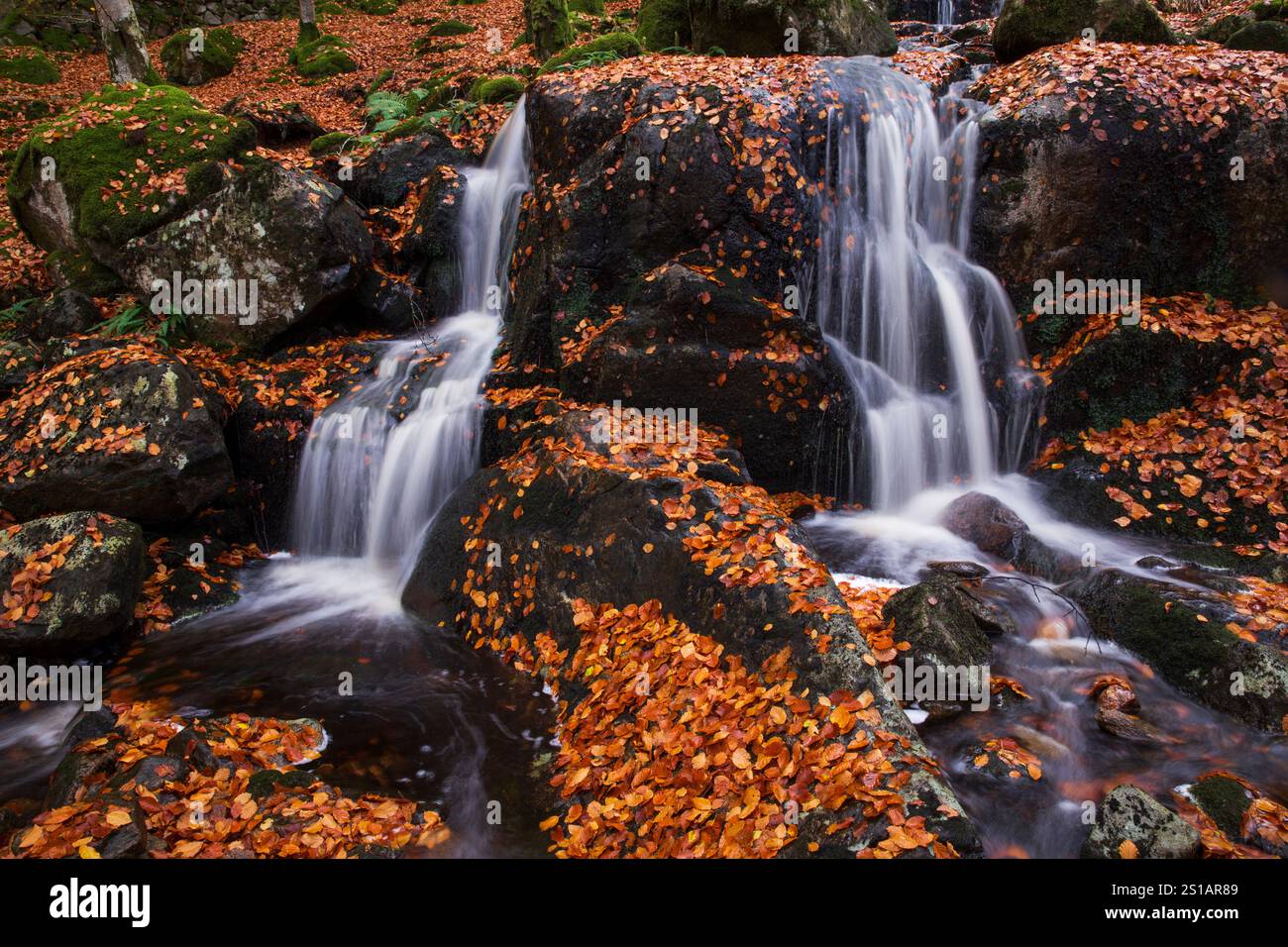 Waterfalls in Autumn.Stunning Autumn landscape of lush cascading ...