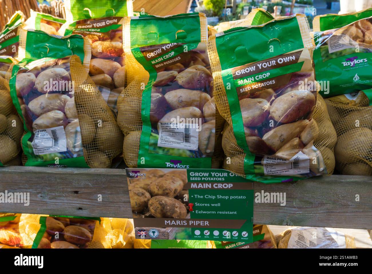 Bags of Maris Piper main crop seed potatoes for sale at a Norfolk ...