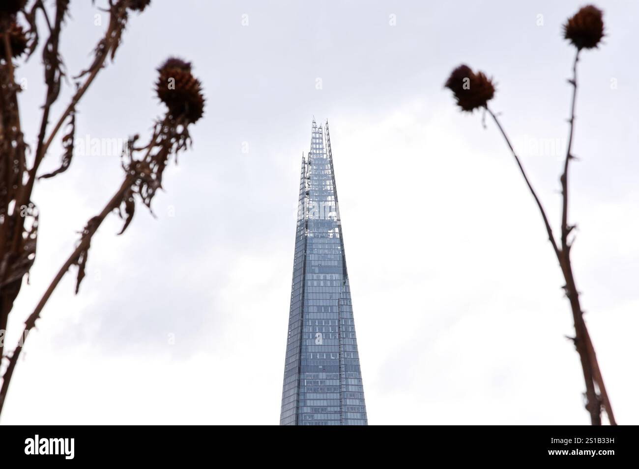 Top of shard in london framed by plants daylight horizontal. The UK’s ...