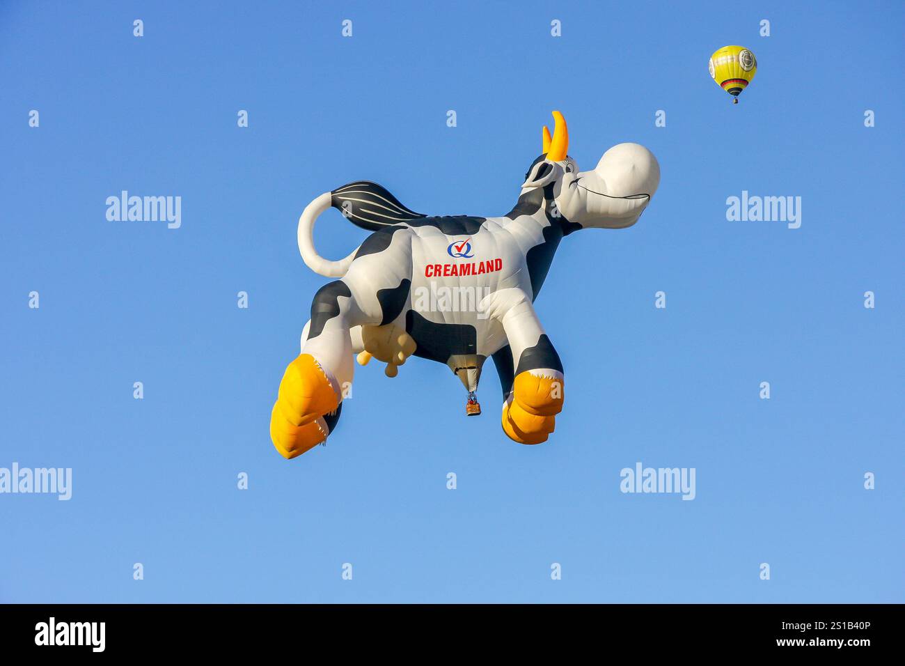 Hot air balloon cow hi-res stock photography and images - Alamy