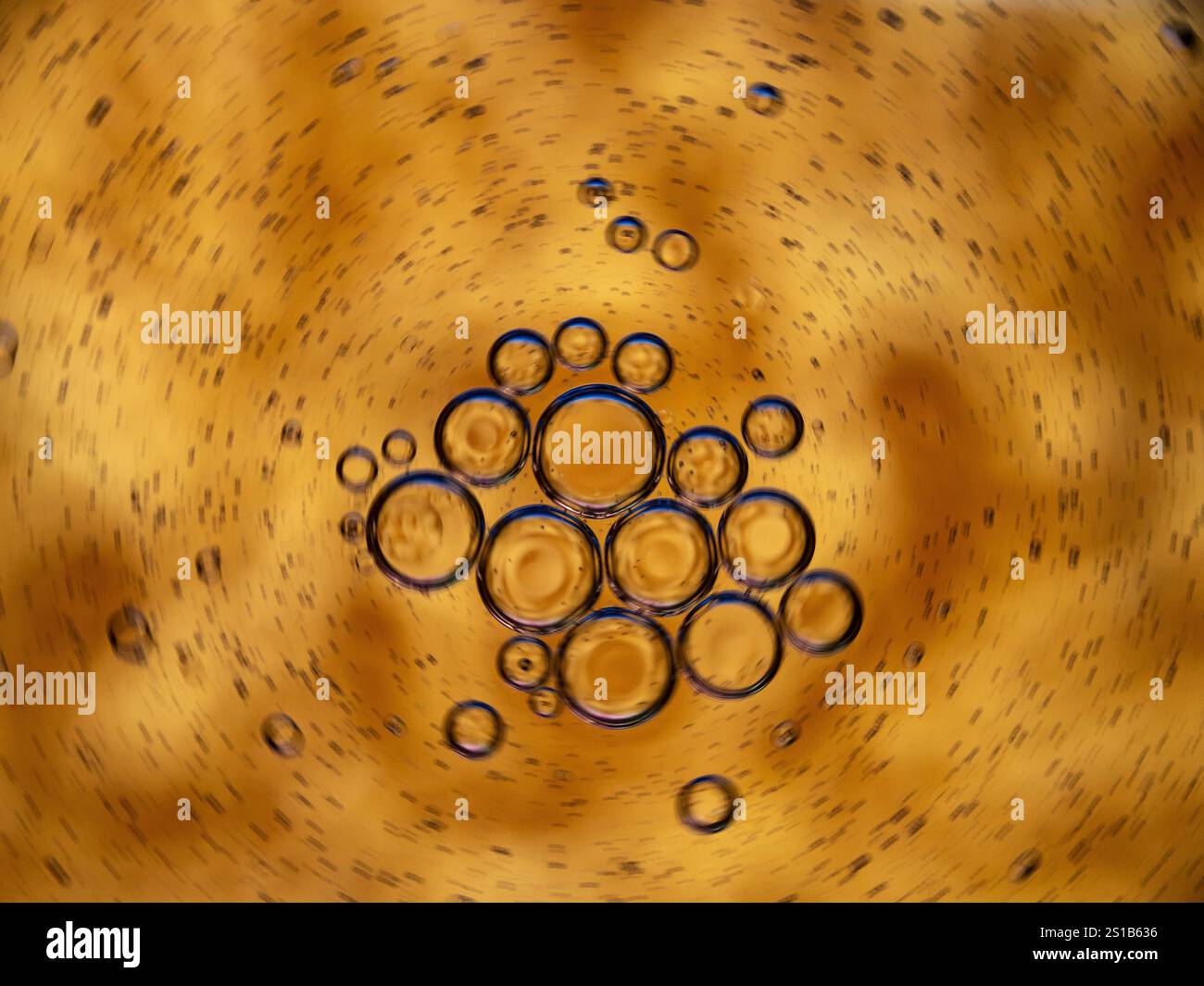 Dynamic interac hi-res stock photography and images - Alamy