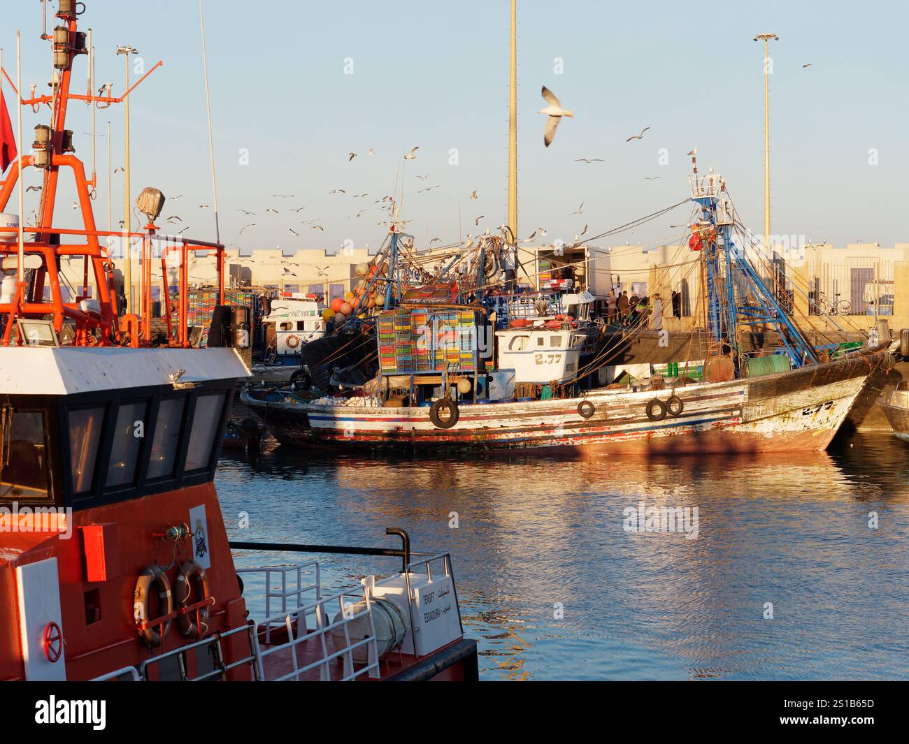 Trawlers aka Vessels aka Ships in the fishing port with birds flying ...