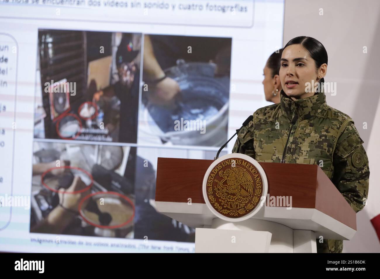 Juana PeÃ±aloza Ibarra, Mexican Navy precursor field chemist and precursors analyst speaking ...