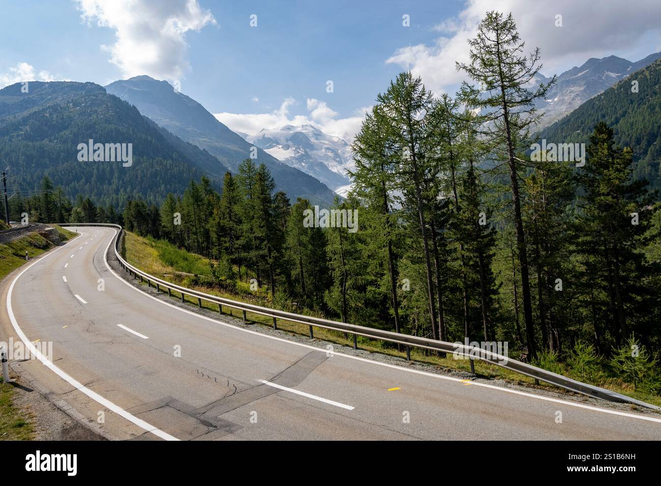 Trees and Mountain of The Swiss Alps Stock Photo - Alamy