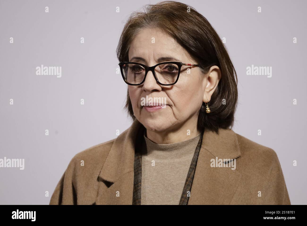 Mexico City, Mexico. 02nd Jan, 2025. Armida Zuñiga Estrada, Head of the ...
