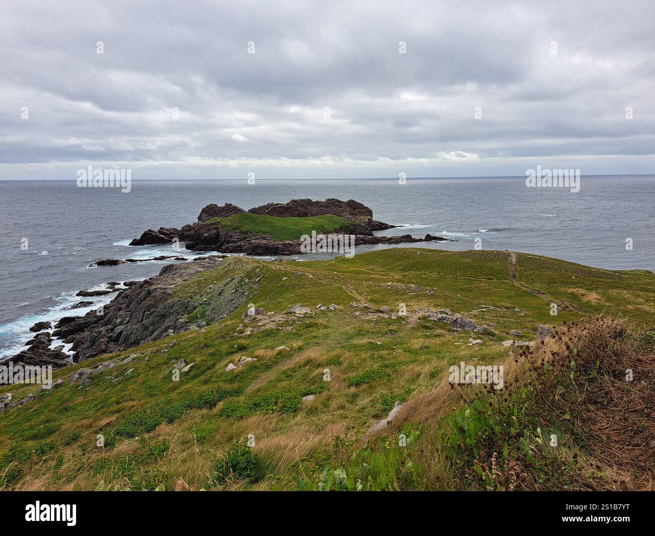 View of rugged coastline at the lighthouse in Ferryland, Newfoundland ...