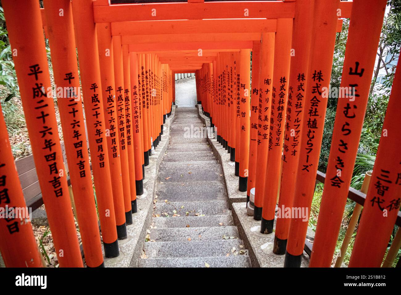 Torii Row, ⁨Hie-jinja Shinto Shrine⁩, ⁨Chiyoda⁩, ⁨Tokyo⁩, ⁨Japan⁩ Stock ...