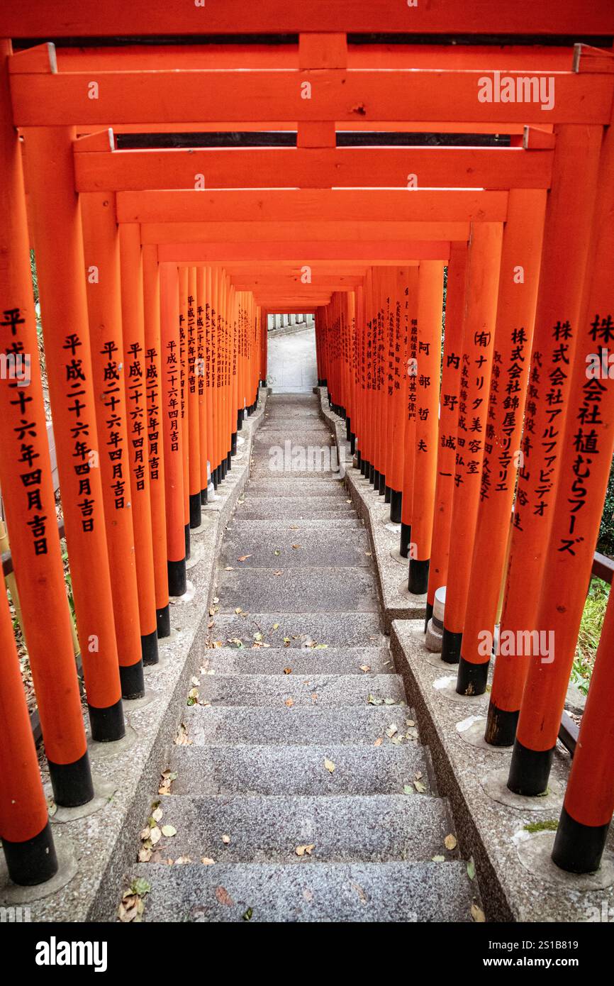 Torii Row, ⁨Hie-jinja Shinto Shrine⁩, ⁨Chiyoda⁩, ⁨Tokyo⁩, ⁨Japan⁩ Stock ...