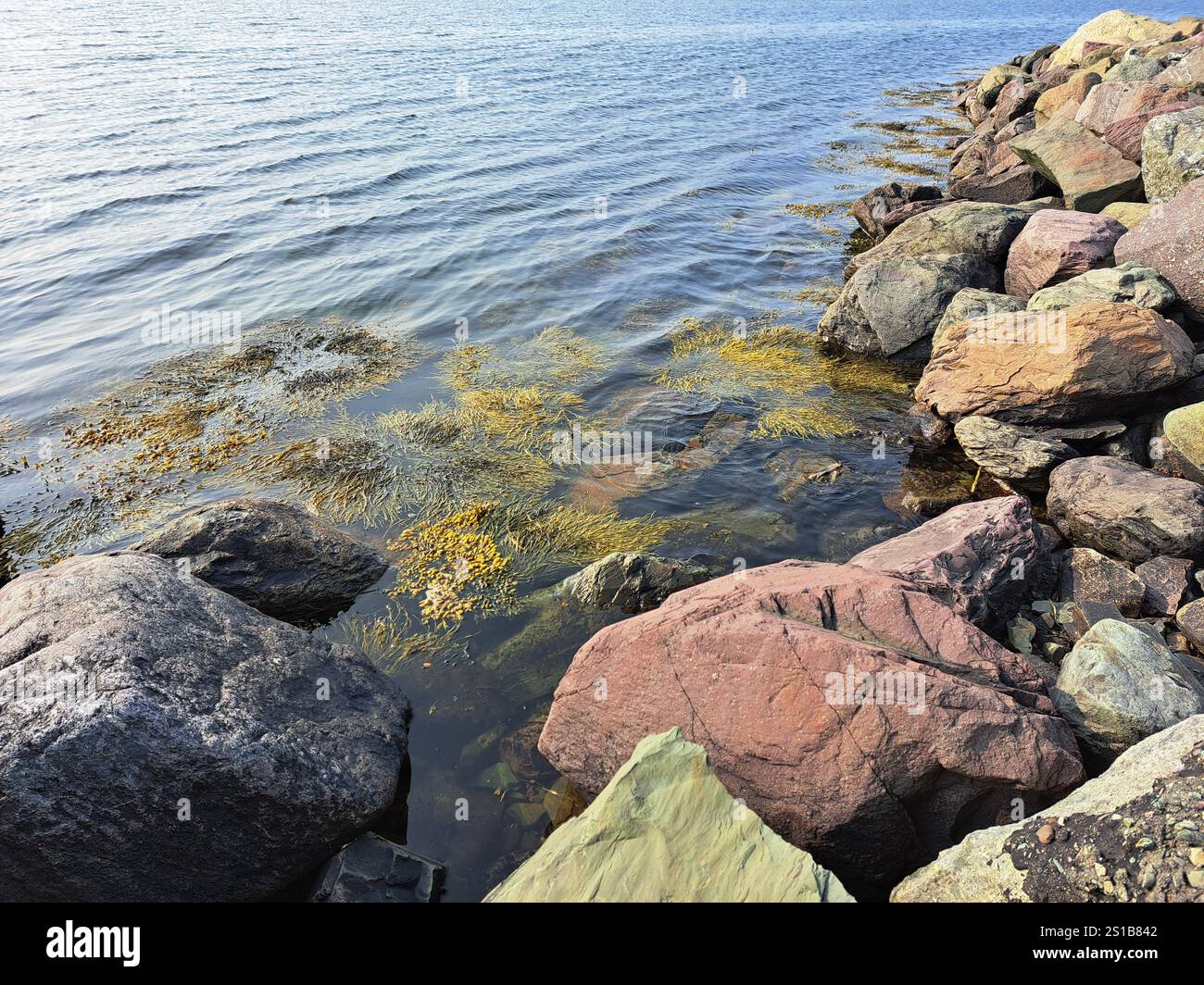 Argentia beach hi-res stock photography and images - Alamy