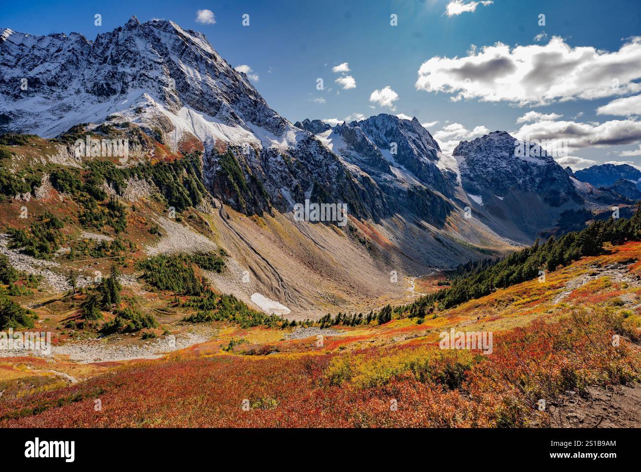 Fall Color in North Cascade Park Stock Photo - Alamy